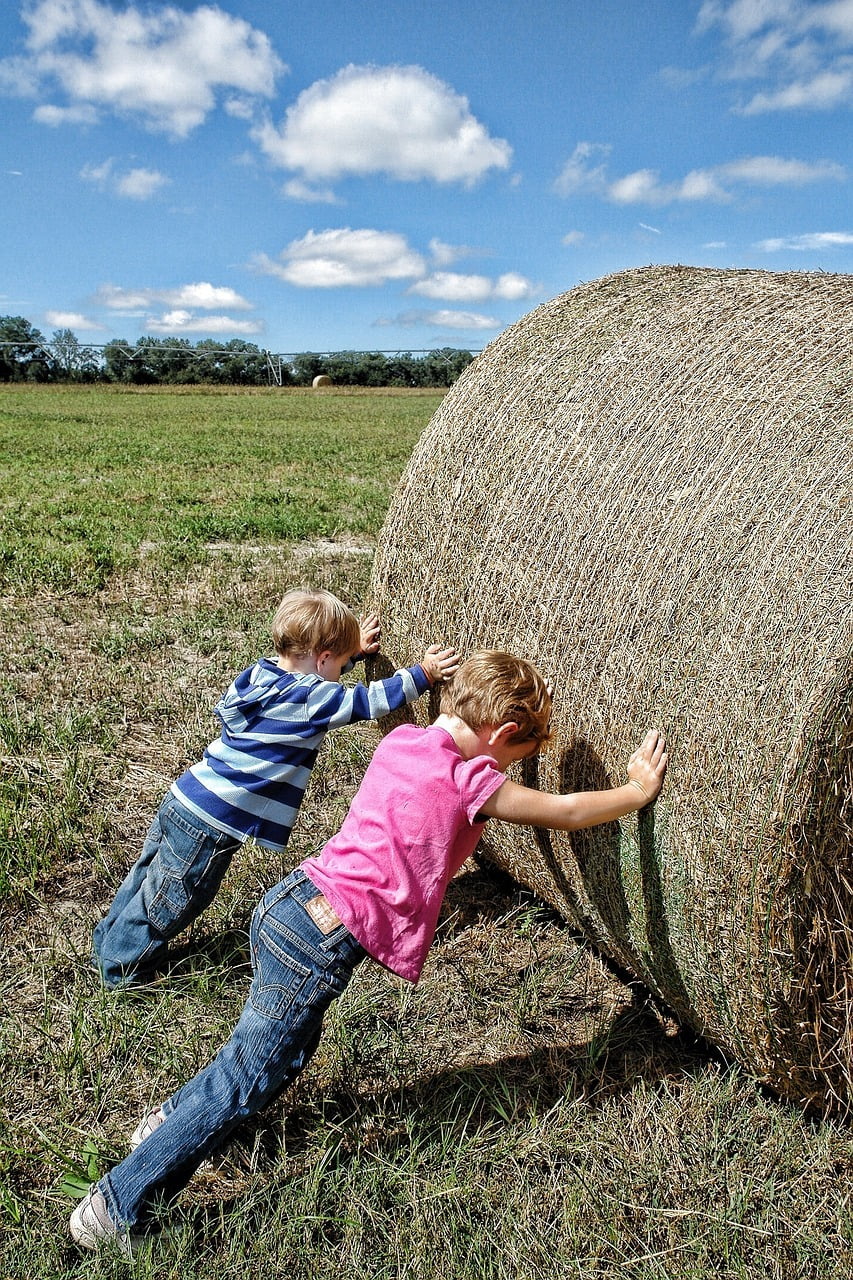 Life On A Farm - 5 Benefits Of Raising Children On A Farm
